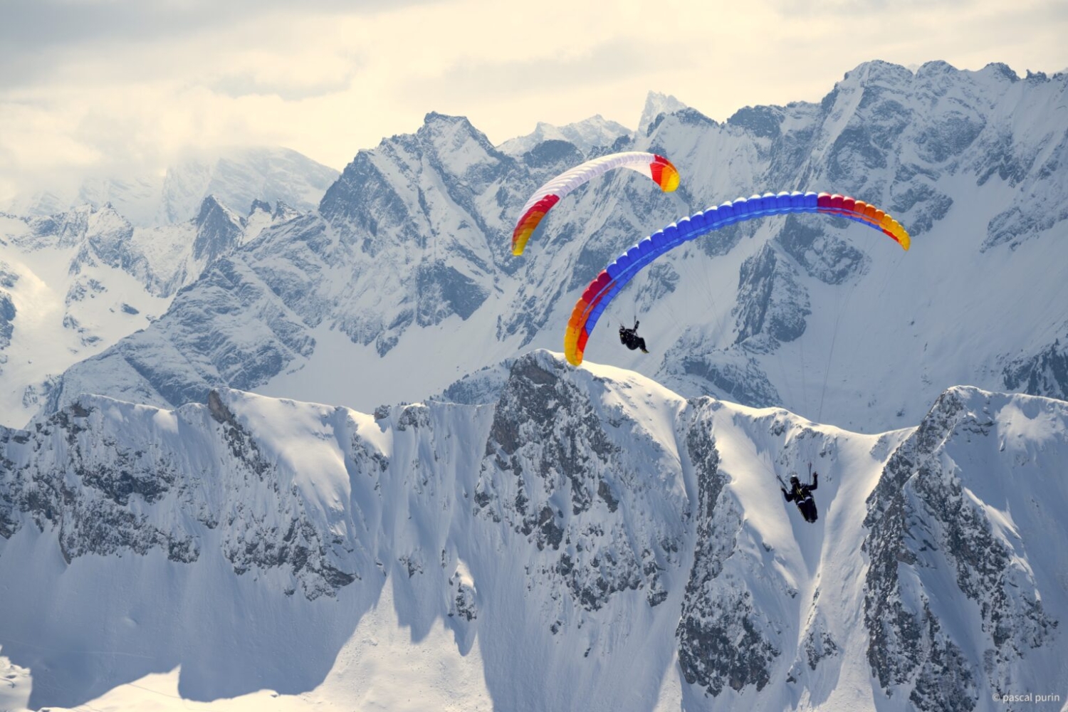 Phi Viola 2 EN-A | Gleitschirmschule Thun, Bern, Interlaken