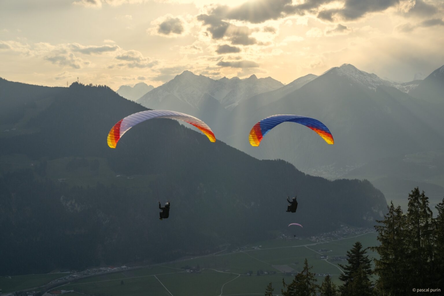 Phi Viola 2 EN-A | Gleitschirmschule Thun, Bern, Interlaken